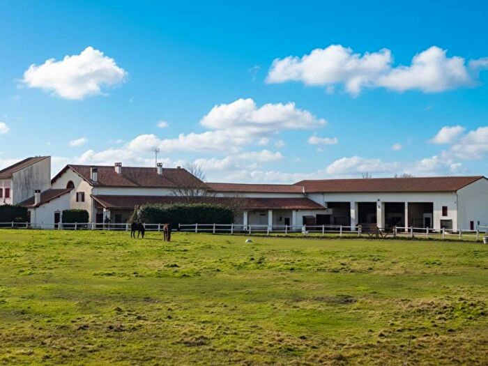 Maison à vendre - Montauban, Pays-Bas - 15 pièces - 10 chambres