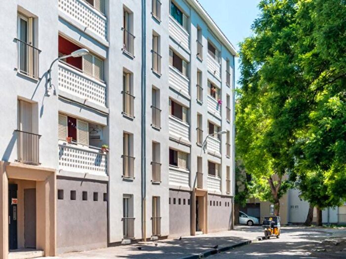 Montfavet Pericentre, Avignon - Appartement 3 pièces à louer