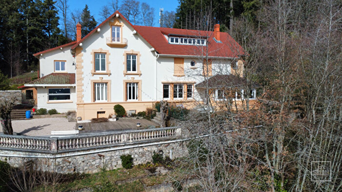 Maison à vendre - Violay - 12 pièces - 7 chambres