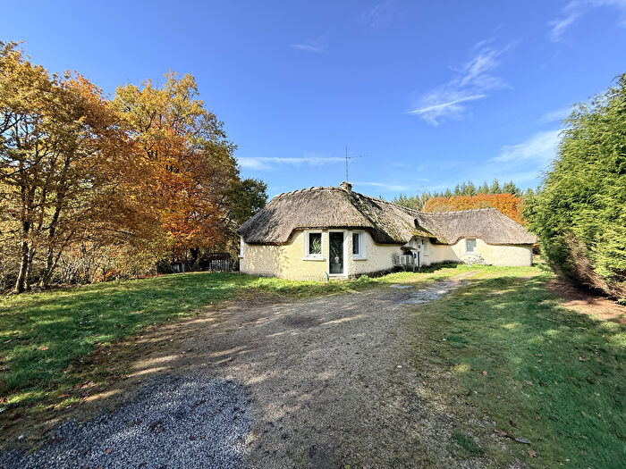 Maison à vendre - Meymac - 5 pièces - 4 chambres