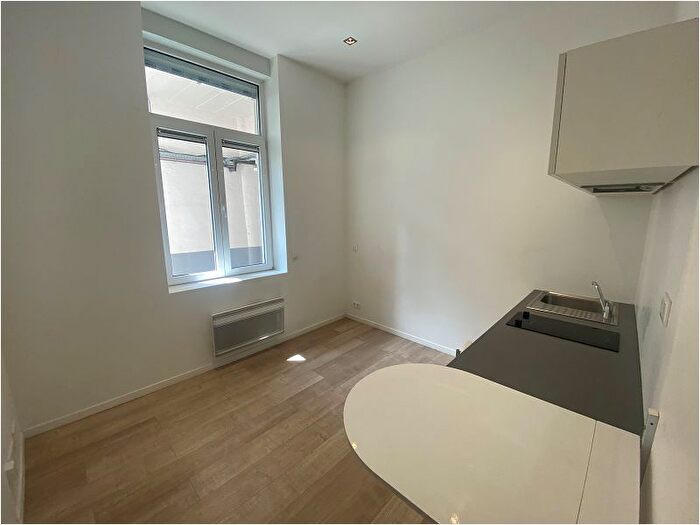 Lille, Bois Blanc : Appartement 1 pièce à louer
