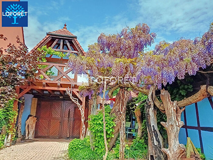 Appartement à louer - Vendenheim - 1 pièce - 1 chambre