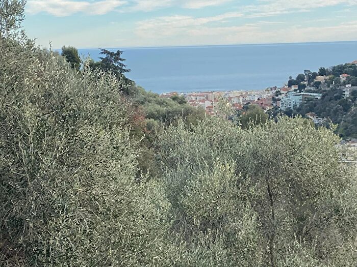 Maison à vendre - Nice, Saint-Pierre de Feric - 6 pièces