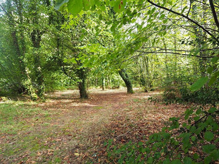 Maison 6 pièces à vendre à La Chapelle-Neuve