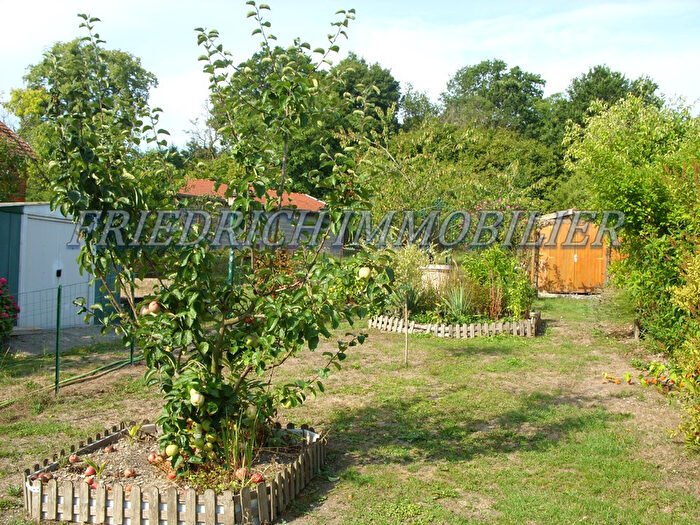 Maison 3 pièces à louer à Nettancourt