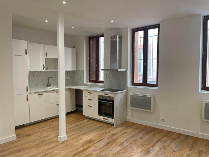 Toulouse, Busca, Jardin des plantes, Port Saint-Sauveur : Appartement 3 pièces à louer