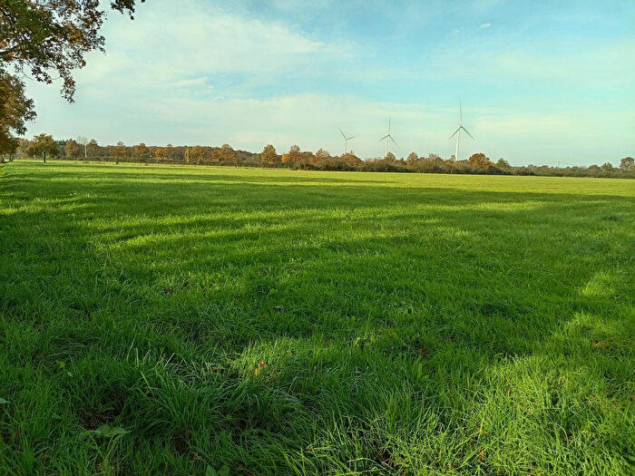 Maison à vendre - Saint-Sulpice-des-Landes
