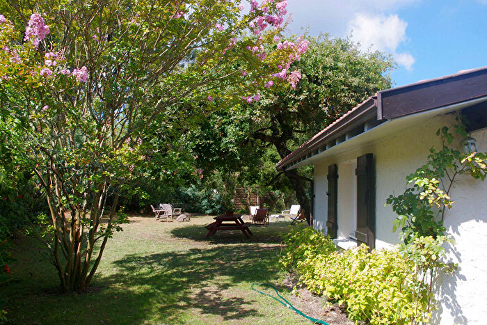 Maisons à vendre et appartements à louer - 1