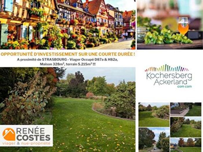 Maison à vendre - Willgottheim - 10 pièces - 5 chambres