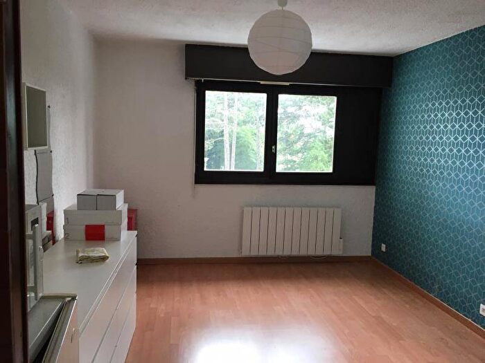 Brabois-Bois le Duc-Sapinière, Vand uvre-lès-Nancy - Appartement 1 pièce à louer