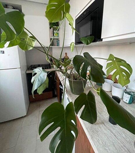 République-Gare-Porte de Paris, Saint-Denis : Appartement 2 pièces à louer