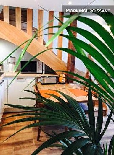 Laënnec, Lyon 8ème arrondissement : Appartement 1 pièce à louer