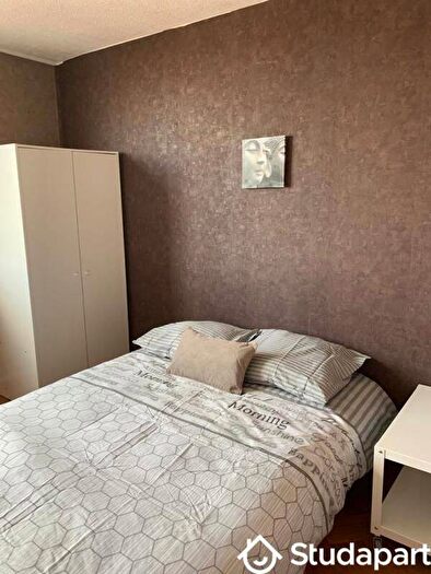 Appartement 1 pièce à louer - Les Essarts, Bron