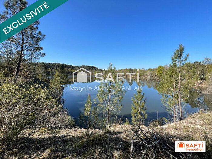 Maison à vendre - Barbezieux-Saint-Hilaire - 11 pièces - 4 chambres