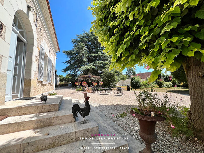 Maison à vendre - Francueil - 15 pièces - 11 chambres