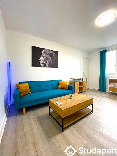 Appartement à louer - Bonnevay, La Soie, Les Brosses, Villeurbanne - 1 pièce - 2 chambres