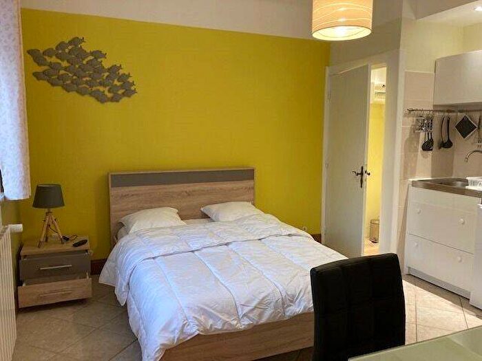 Zone Verte-Thionville Ouest - Appartement 1 pièce à louer