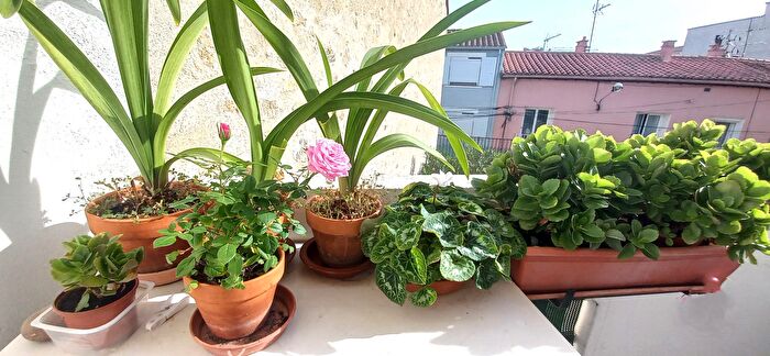Appartement 3 pièces à vendre à Argelès-sur-Mer