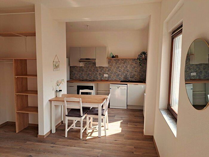 Appartement à louer - Fridolin Nord, Mulhouse - 3 pièces - 2 chambres