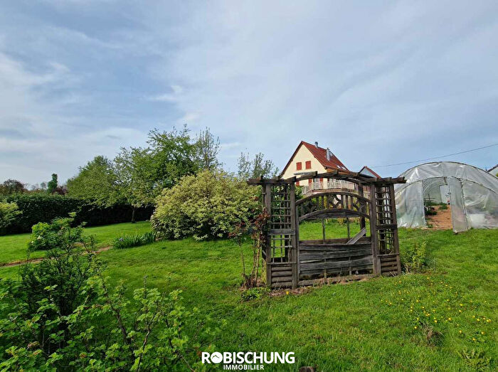 Maison à vendre - Chavannes-sur-létang - 5 pièces - 3 chambres