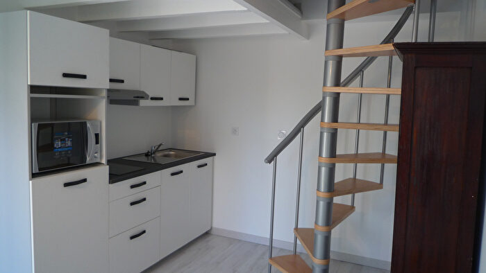 Appartement 1 pièce à louer - Olivet, Noras, Belle Croix