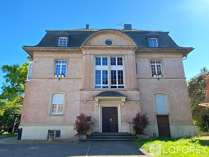Bischwiller, Hasensprung, Erlenberg : Appartement 2 pièces à louer
