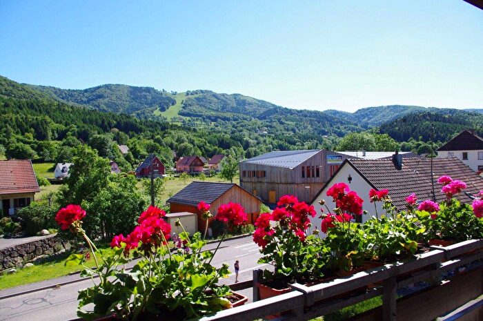 Appartement à louer - Masevaux-Niederbruck - 3 pièces - 2 chambres