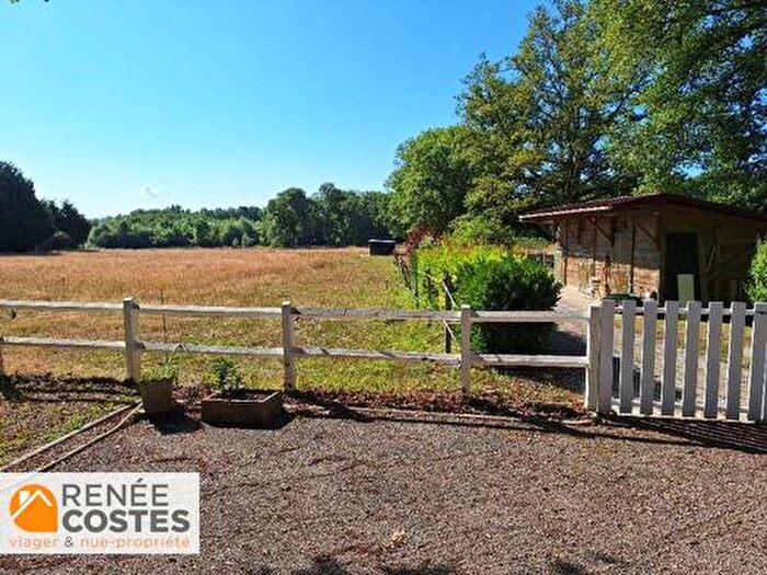 Maison à vendre - Charbuy - 7 pièces - 6 chambres