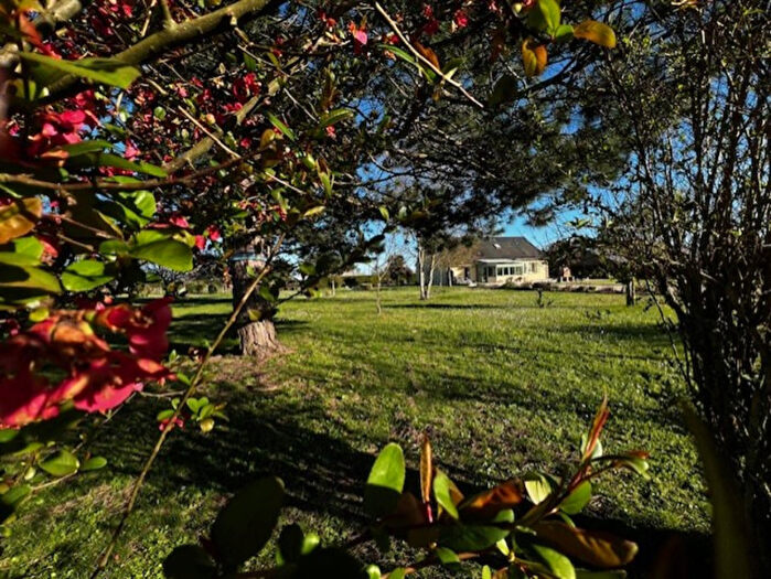 Maison à vendre - Mazé - 6 pièces - 3 chambres