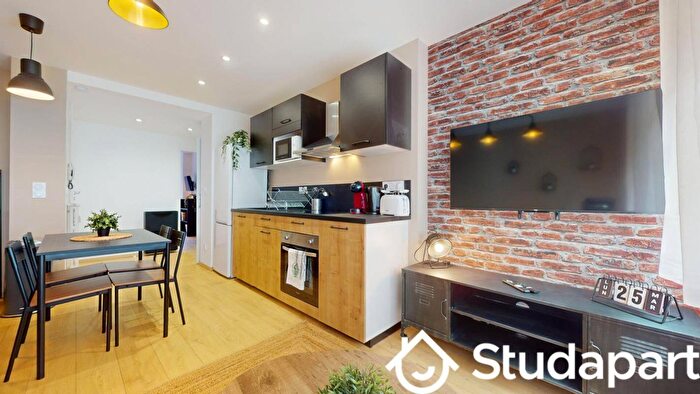Badouillère-Saint Roch-Valbenoîte, Saint-Étienne - Appartement 1 pièce à louer