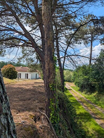 Maison à vendre - Hagetmau - 5 pièces - 4 chambres