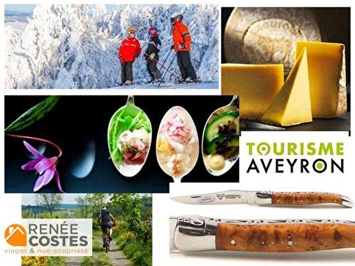 Maison à vendre - Laguiole - 14 pièces - 10 chambres