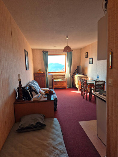 Laveissière : Appartement 1 pièce à vendre