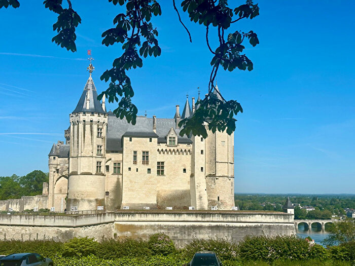 Maison à vendre - Saumur, Dampierre - 11 pièces - 7 chambres