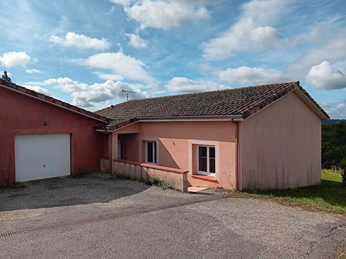 Maison à vendre - La Salvetat-Belmontet - 8 pièces - 6 chambres
