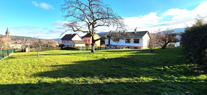 Maison à vendre - Lutzelhouse - 5 pièces - 3 chambres