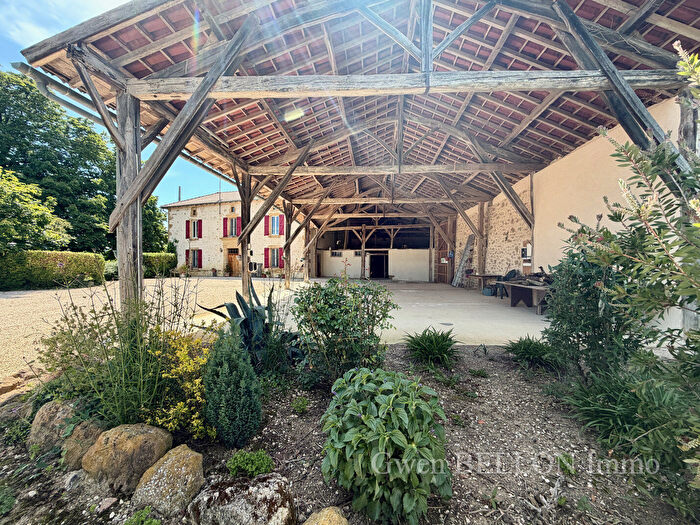 LIsle-en-Dodon : Maison 15 pièces à vendre