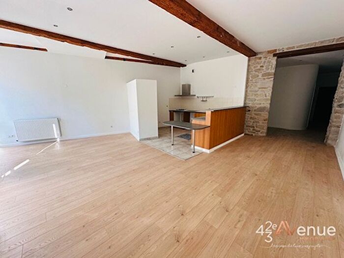 Appartement à louer - Saint-Étienne, Centre-ville, Peuple, Chavanelle - 3 pièces - 3 chambres
