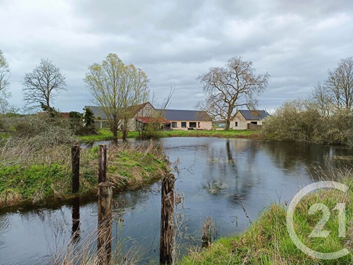 Maison à vendre - Pruniers-en-Sologne - 9 pièces - 9 chambres