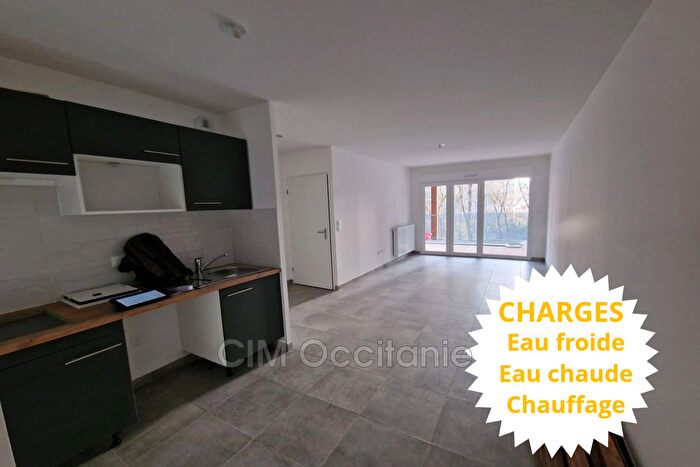 Appartement à louer - Toulouse, LOrmeau, La Terrasse, La Grande Plaine - 2 pièces - 1 chambre