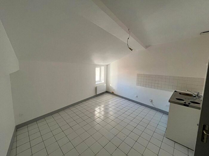 Vienne - Appartement 1 pièce à louer