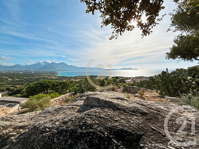 Maison à vendre - Lumio - 5 pièces - 3 chambres
