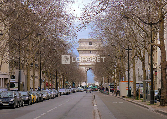 Appartement à vendre - Paris e , Chaillot - 2 pièces - 1 chambre