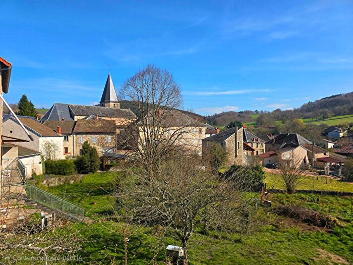 Maison à vendre - Ferrières-sur-Sichon - 7 pièces - 4 chambres