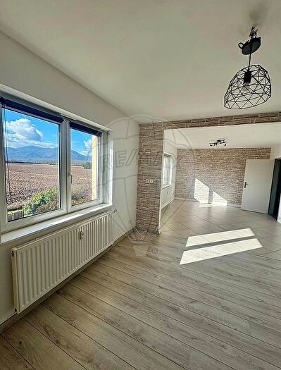 Appartement à vendre - Bollwiller - 2 pièces - 1 chambre