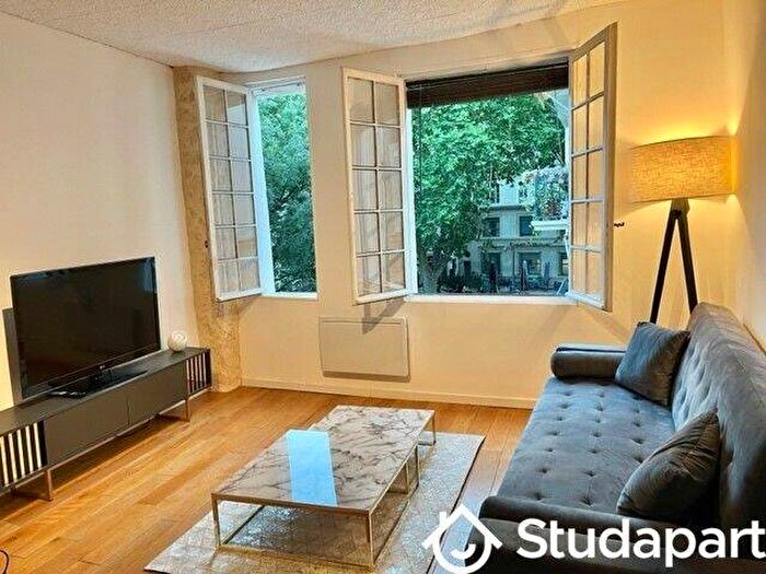 Zone Pietonne, Avignon : Appartement 1 pièce à louer