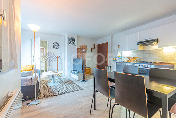 Appartement à louer - Annecy, Parc des Sports, Fier - 2 pièces - 1 chambre