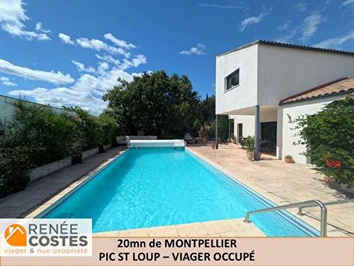 Saint-Martin-de-Londres - Maison 7 pièces à vendre