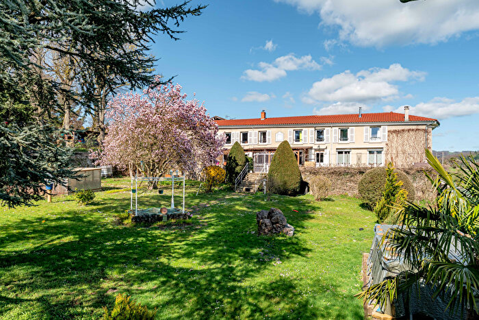 Saint-Symphorien-sur-Coise - Maison 12 pièces à vendre