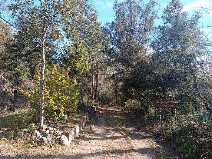 Maison à vendre - Montferrer - 4 pièces - 2 chambres